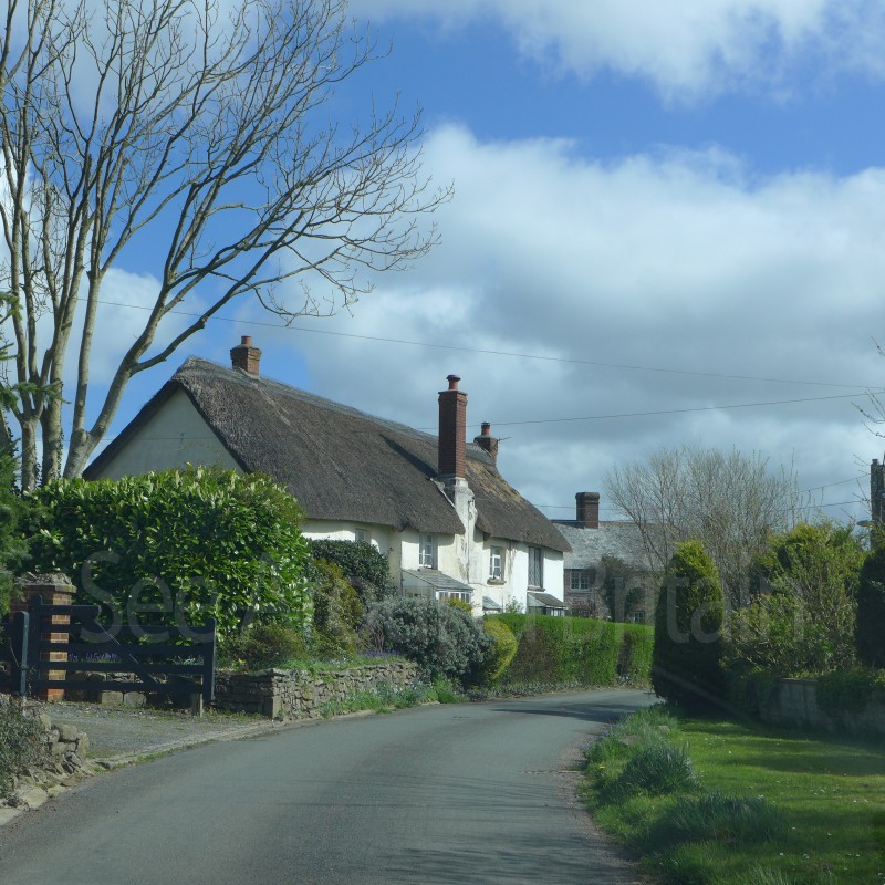 Coldridge Village, Near Crediton, Devon. Open daily. Free entry - See ...