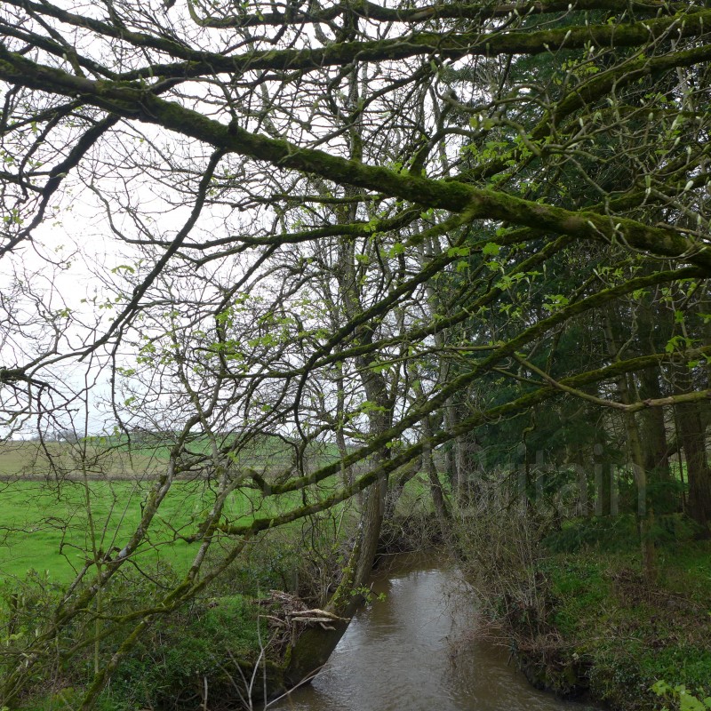 Lapford Village, Near Crediton, Devon. Open daily. Free entry. - See ...