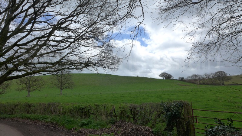 Lapford Village, Near Crediton, Devon. Open daily. Free entry. - See ...